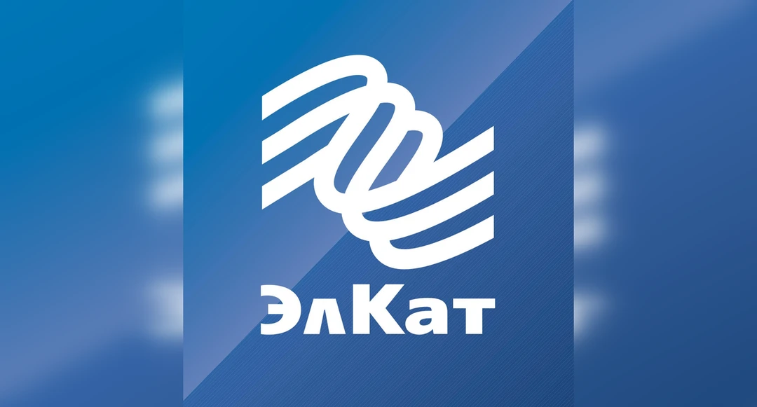 Гендиректора и учредителей компании «Элкат» отправили в СИЗО до 3 апреля - BULAK.KG